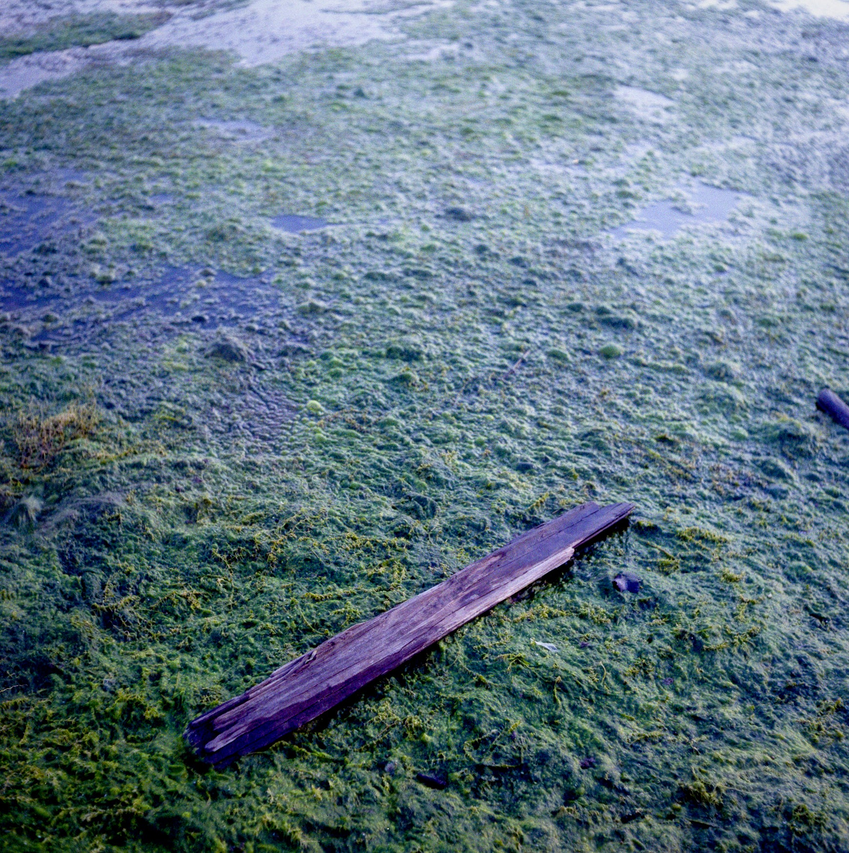 EPA Official, Activist Say Wisconsin Must Safeguard Drinking Water From ...