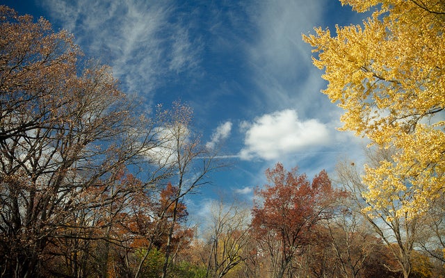 Weather Update: Fall Forecast - WPR