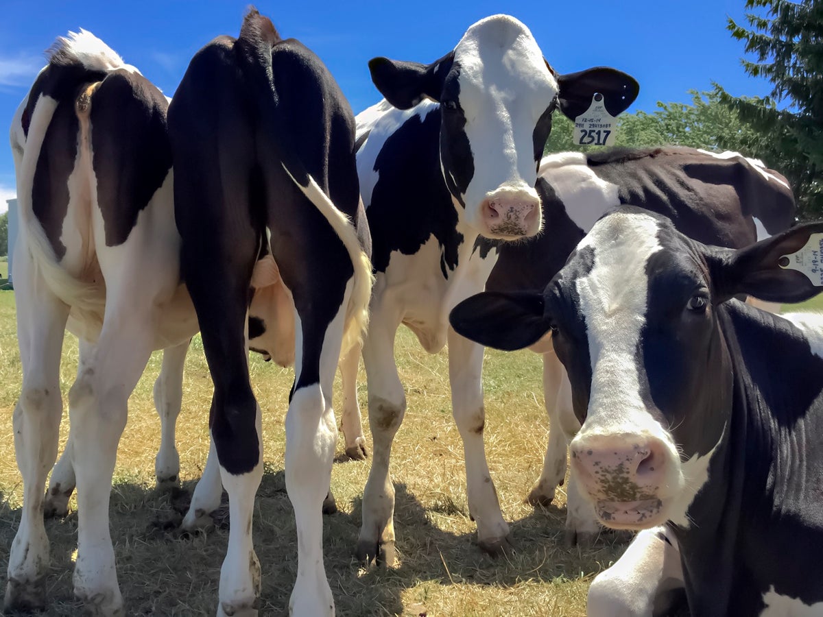 See Winning Photos From 'Wisconsin Life' Summer Contest - WPR