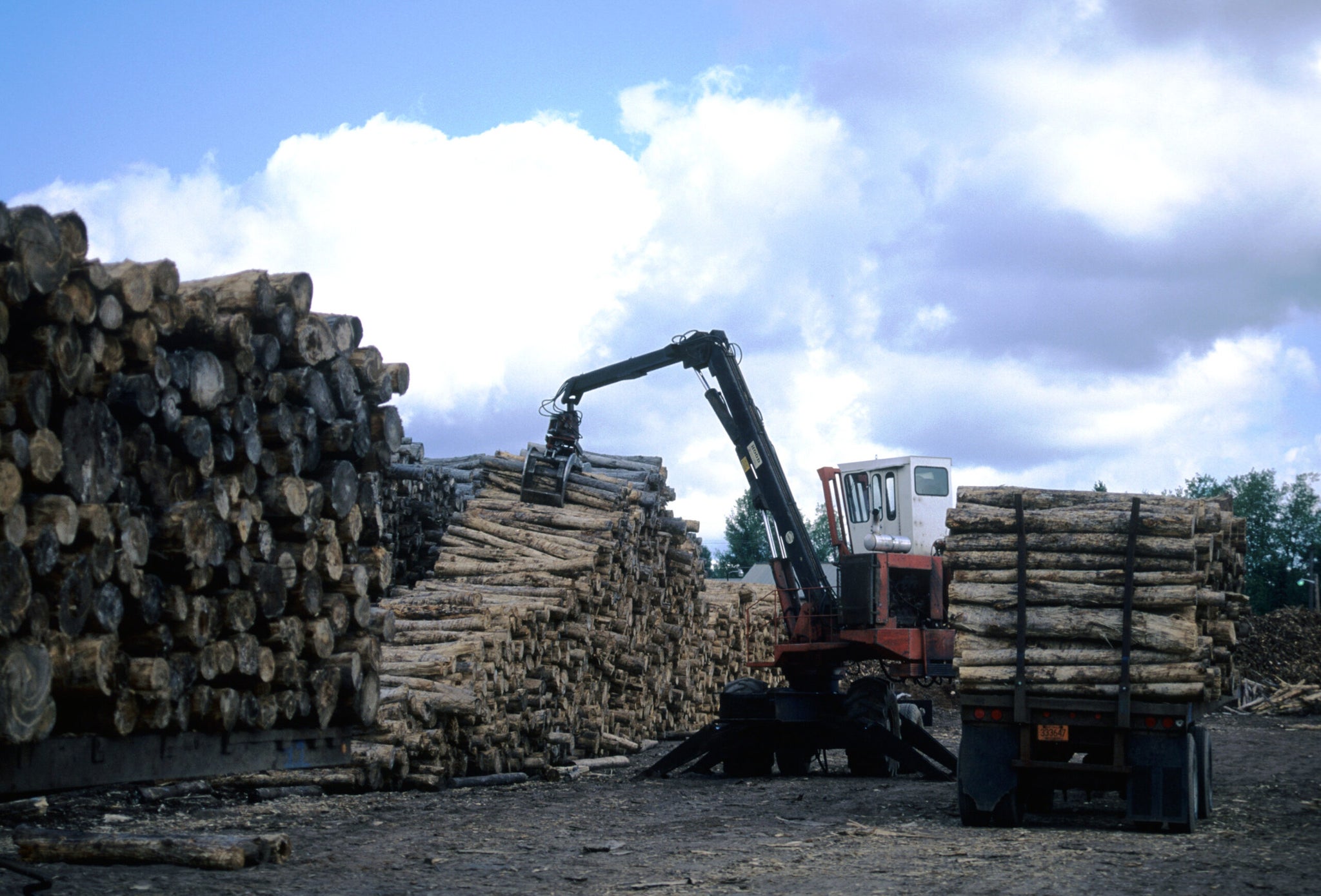 Wisconsin may see more logging of national forest land under Trump ...