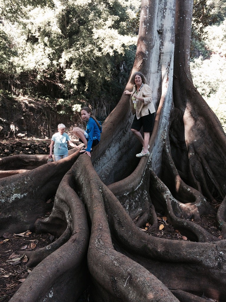 Spring 2014 Hawaii Trip With Larry Meiller - WPR