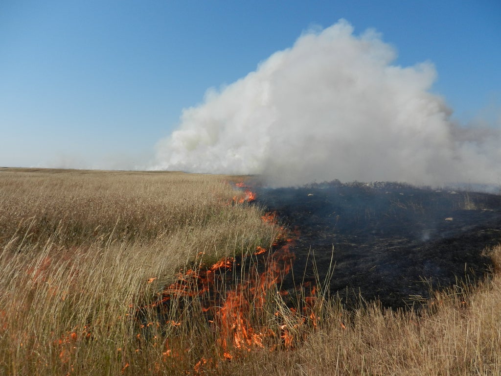 Garden Talk: Spring Prairie Burning - WPR