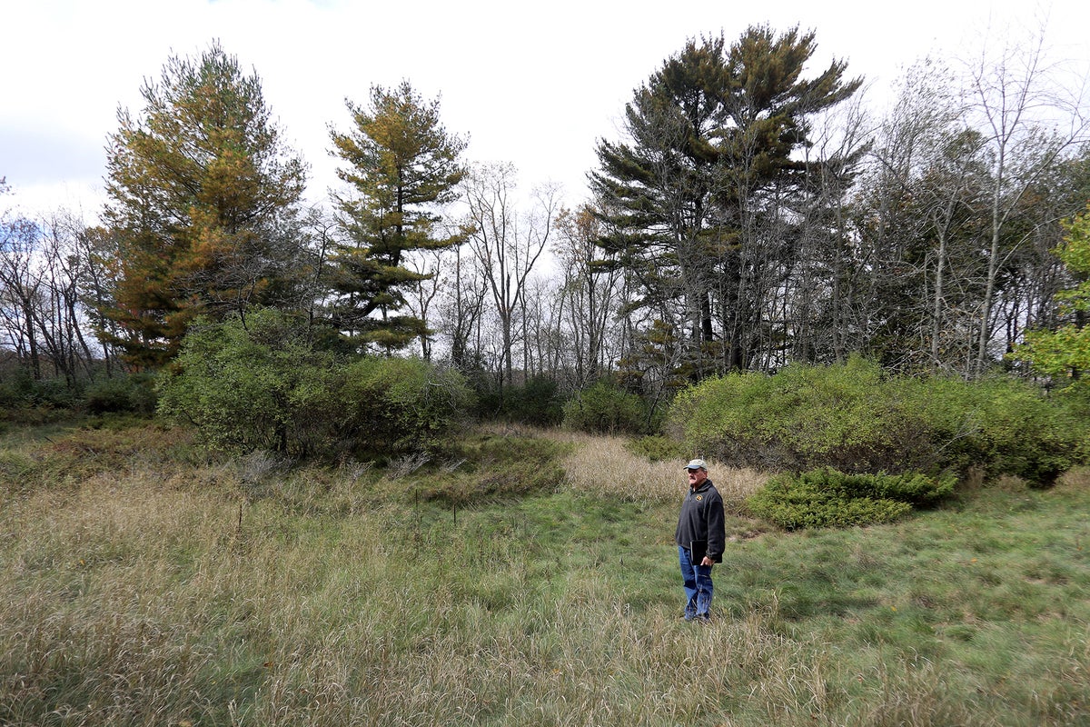 Much loved and underfunded, Wisconsin State Parks celebrates 125 years ...
