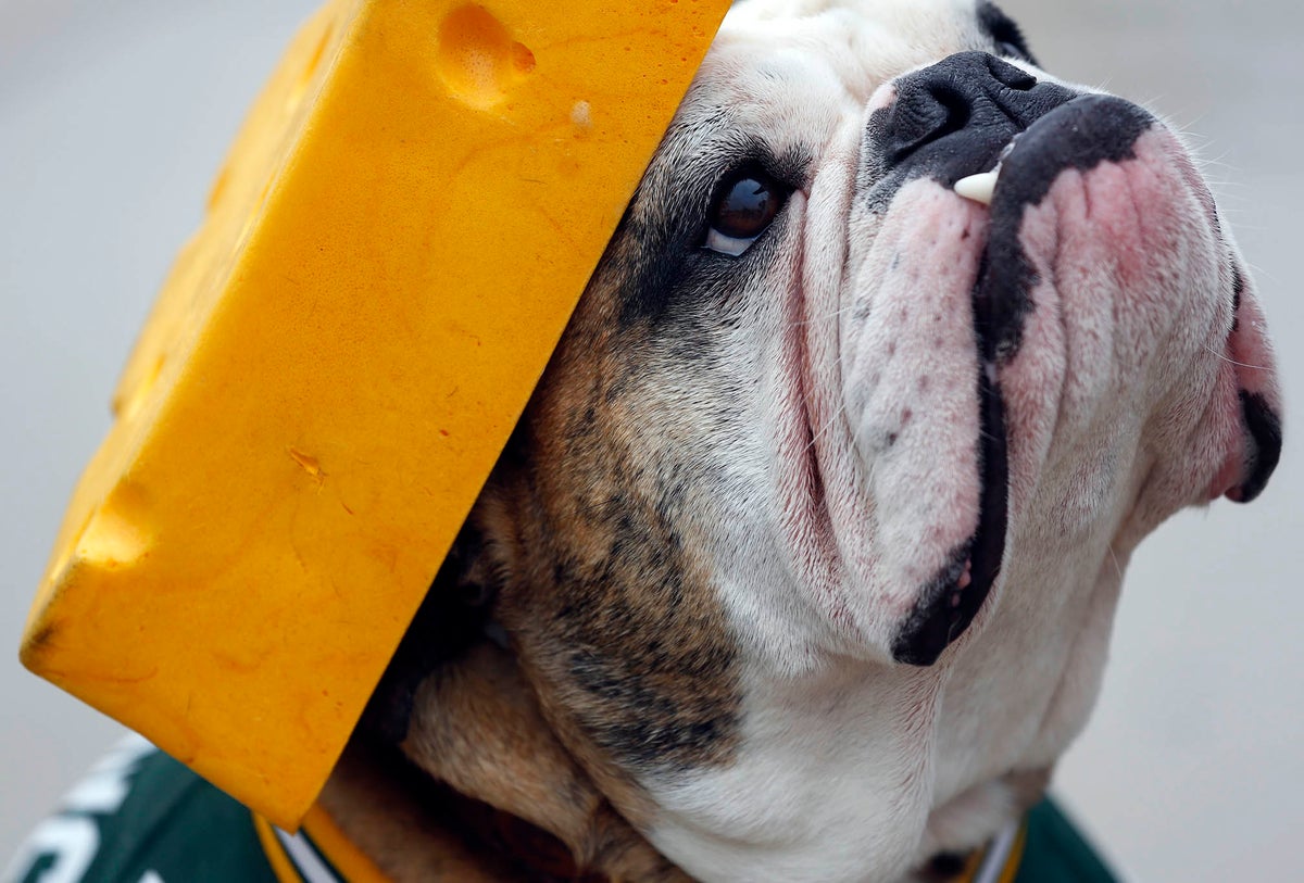 Why Do People Wear Cheeseheads? - WPR