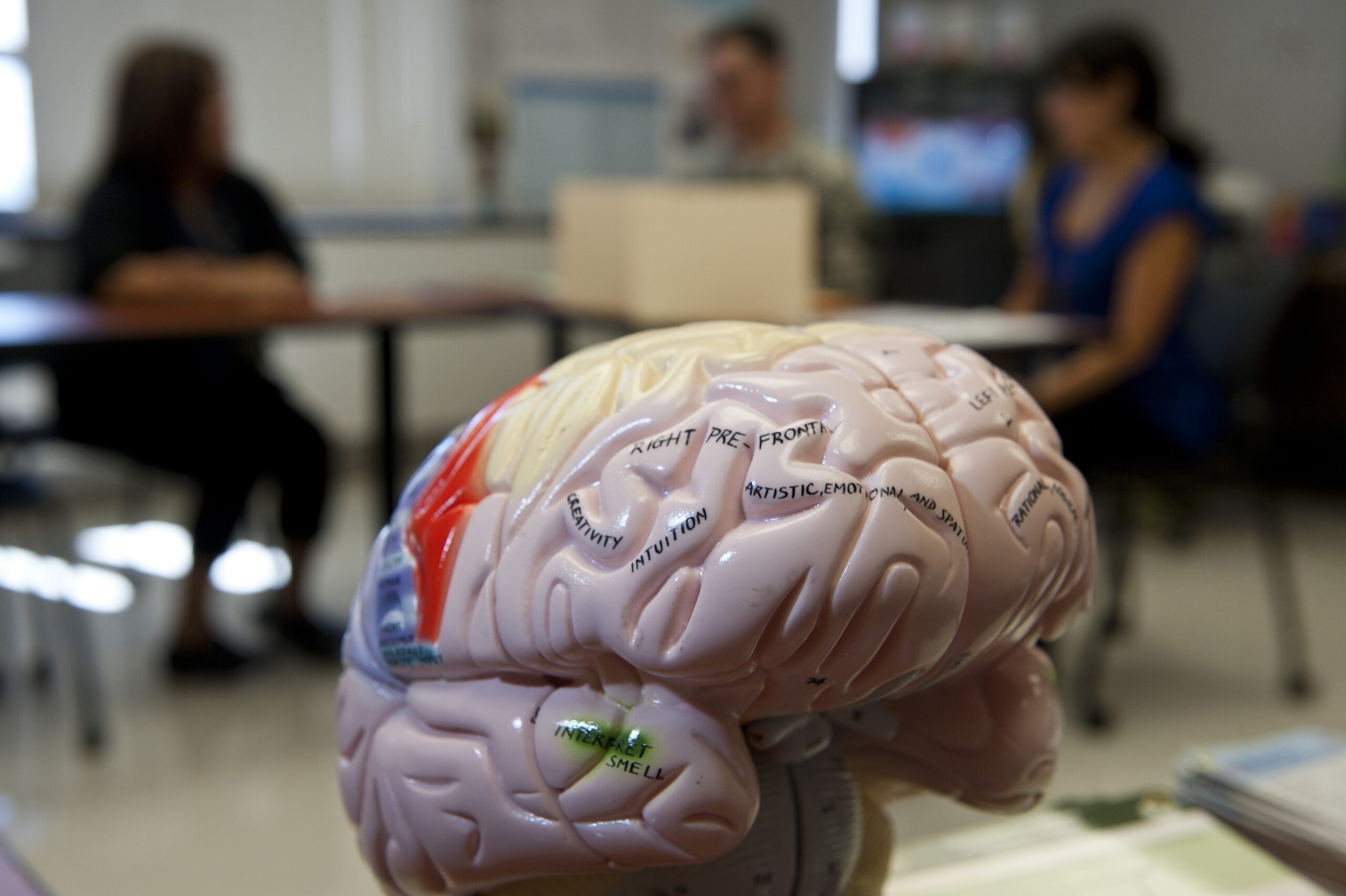 Unlocking The Brain's Ability To Repair Itself After Injury - WPR