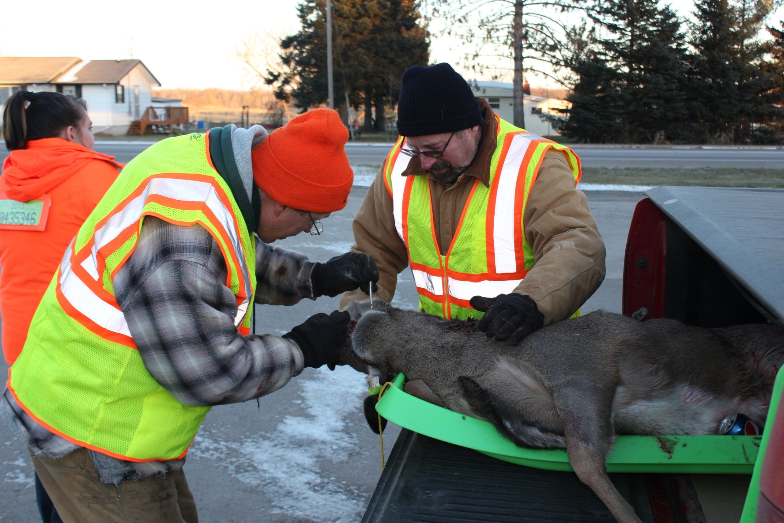Northern Hunters Harvest More Bucks During Nine-Day, Gun-Deer Season - WPR