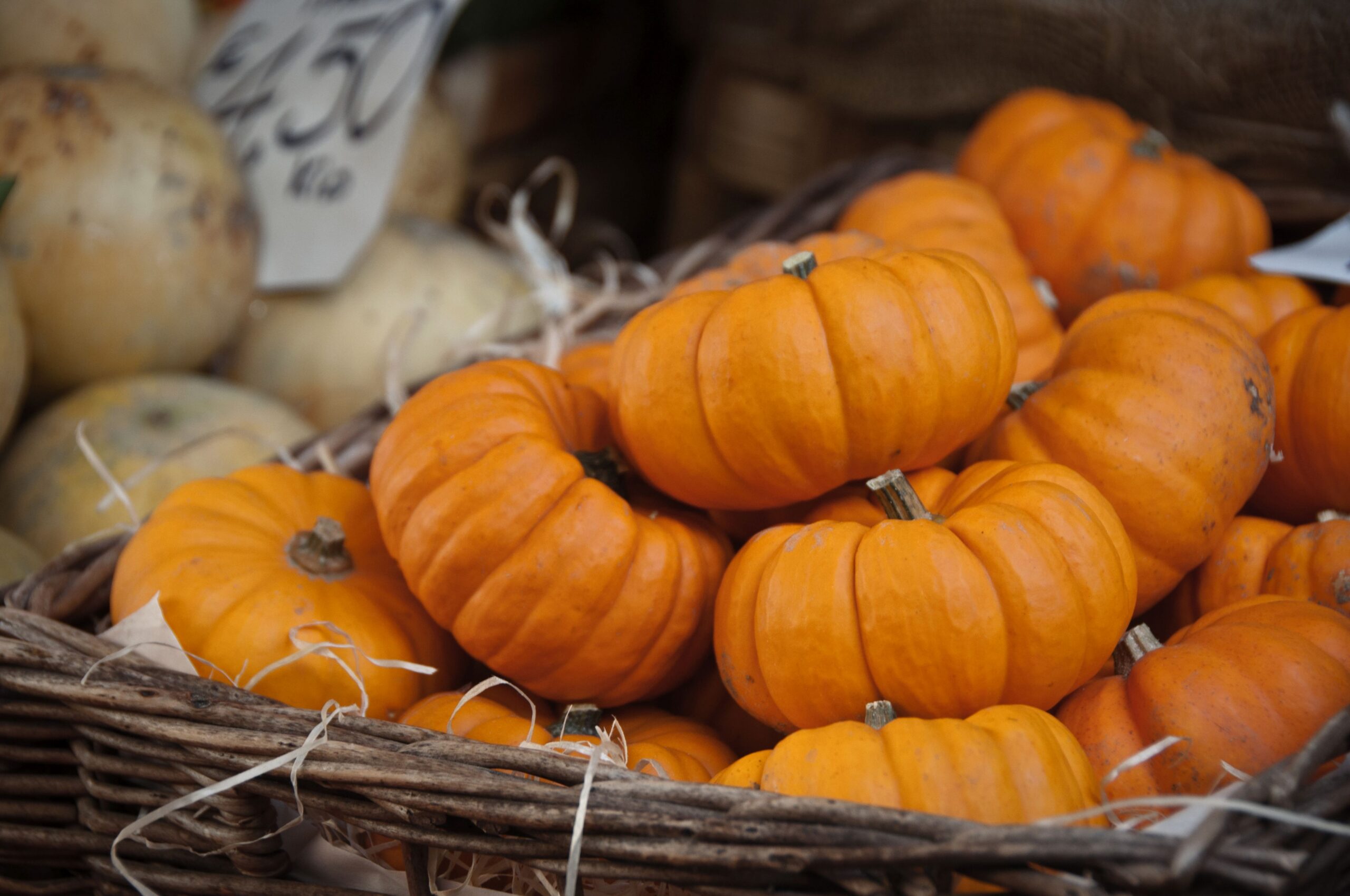 How Are The Brewers Doing, Pumpkins Of All Sizes In Wisconsin - WPR