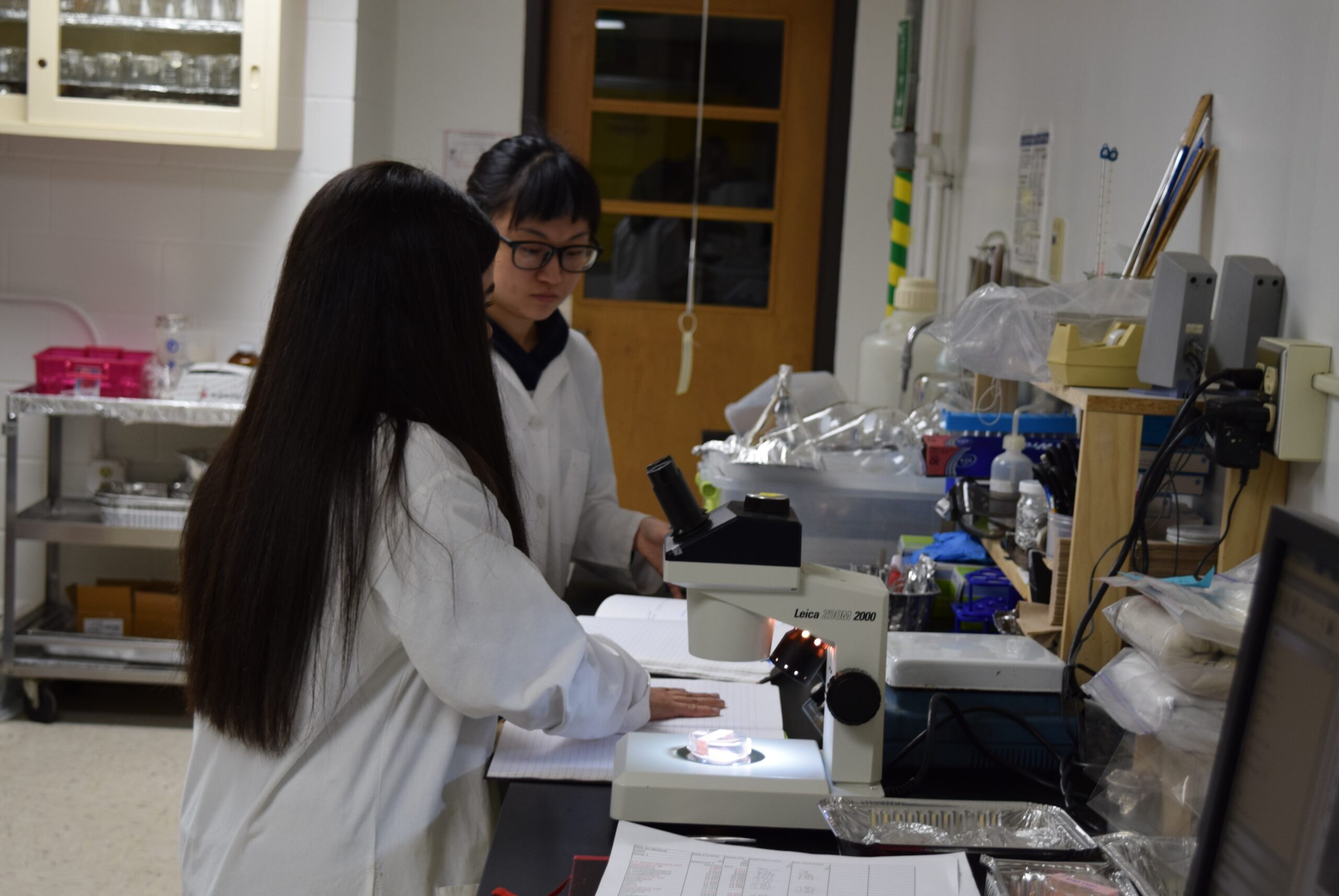 Researching Microplastics at UW-Superior - WPR