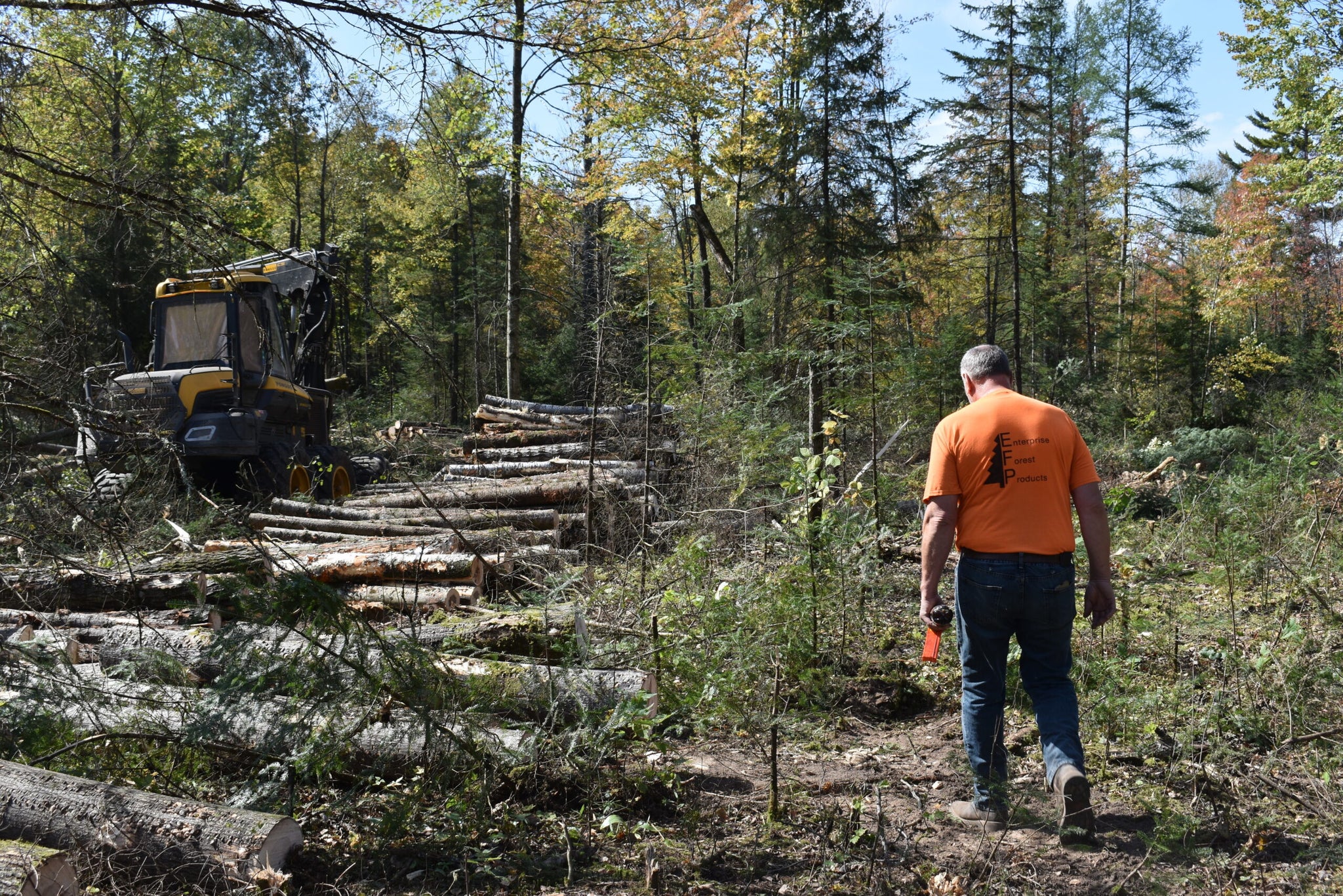 Paper mill closures drove a bust for Northwoods loggers, and some are ...