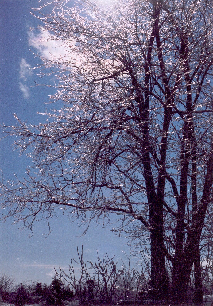 January Request Show - WPR