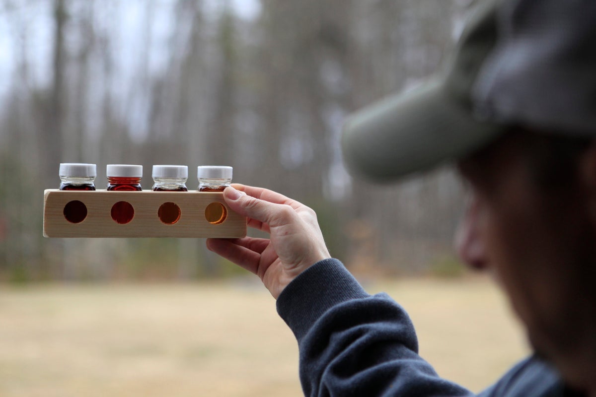 Maple tapping season begins earlier than usual - WPR