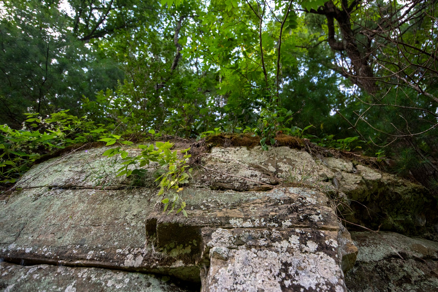 Where does the 'Driftless Area' get its name? The history, boundaries ...