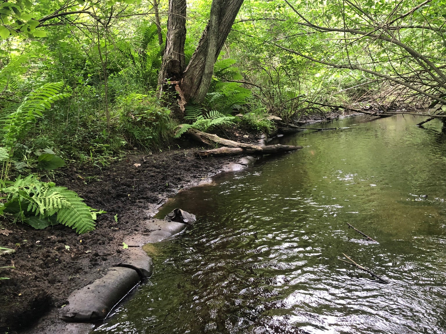 A stretch of a central Wisconsin trout stream dried up as the region ...