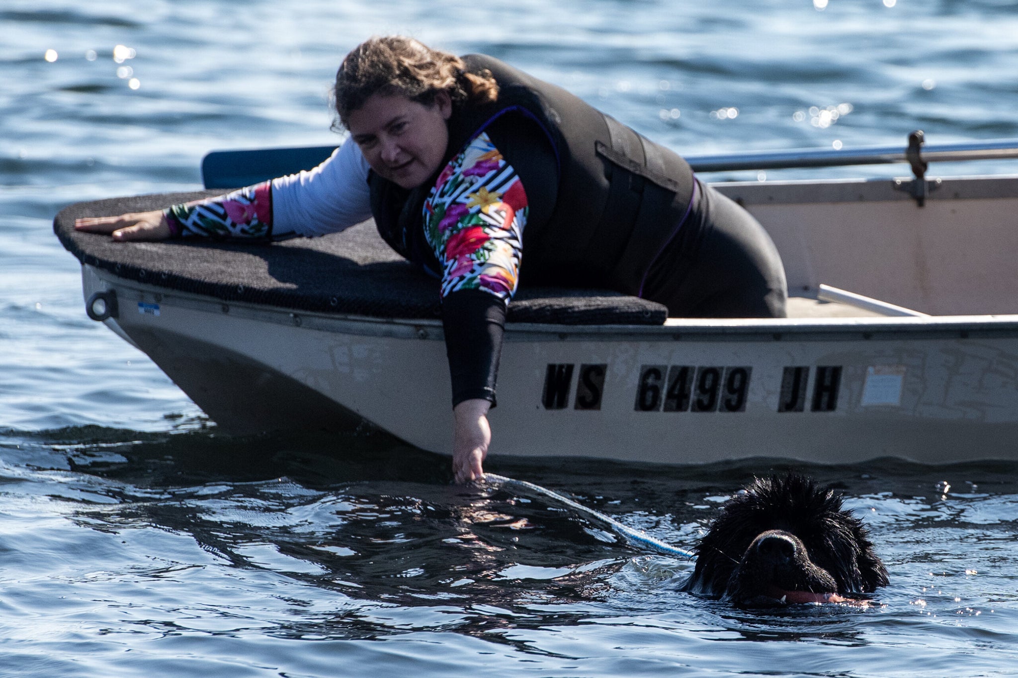 Dog lifeguards? Midwest club trains Newfoundlands for water rescues - WPR