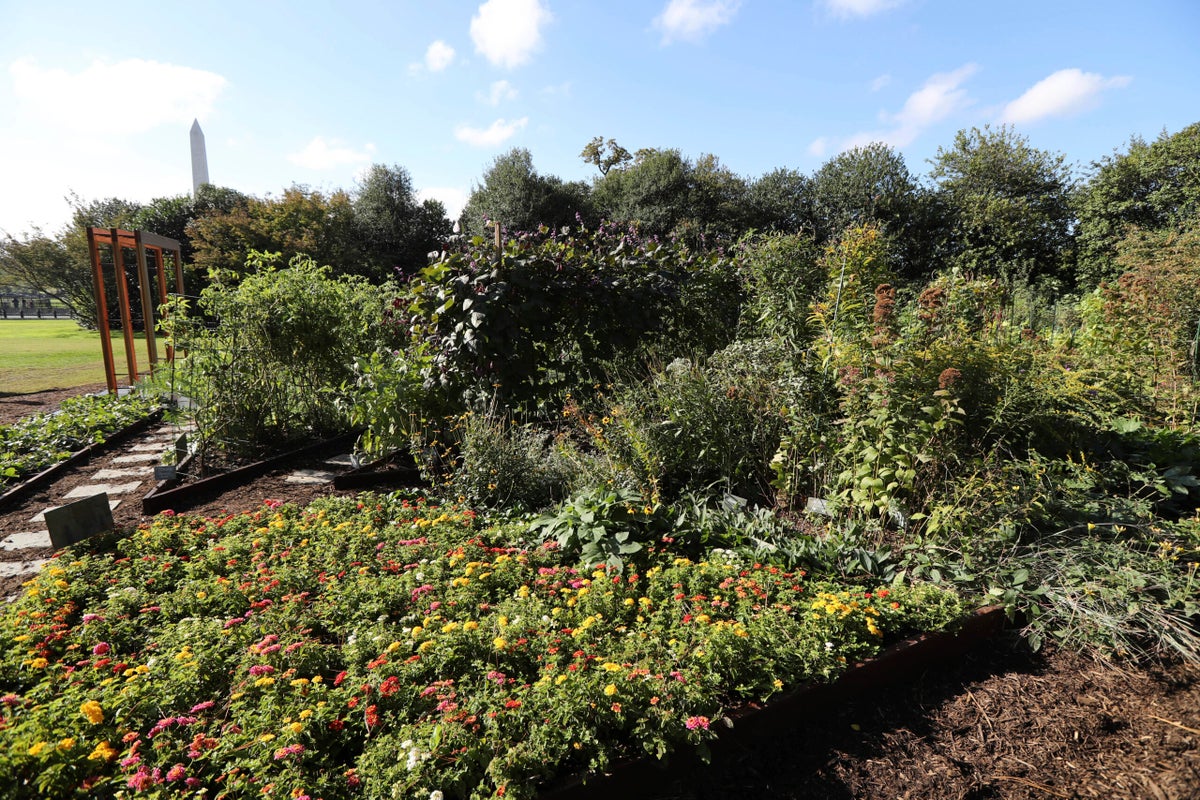 The Larry Meiller Show - WPR