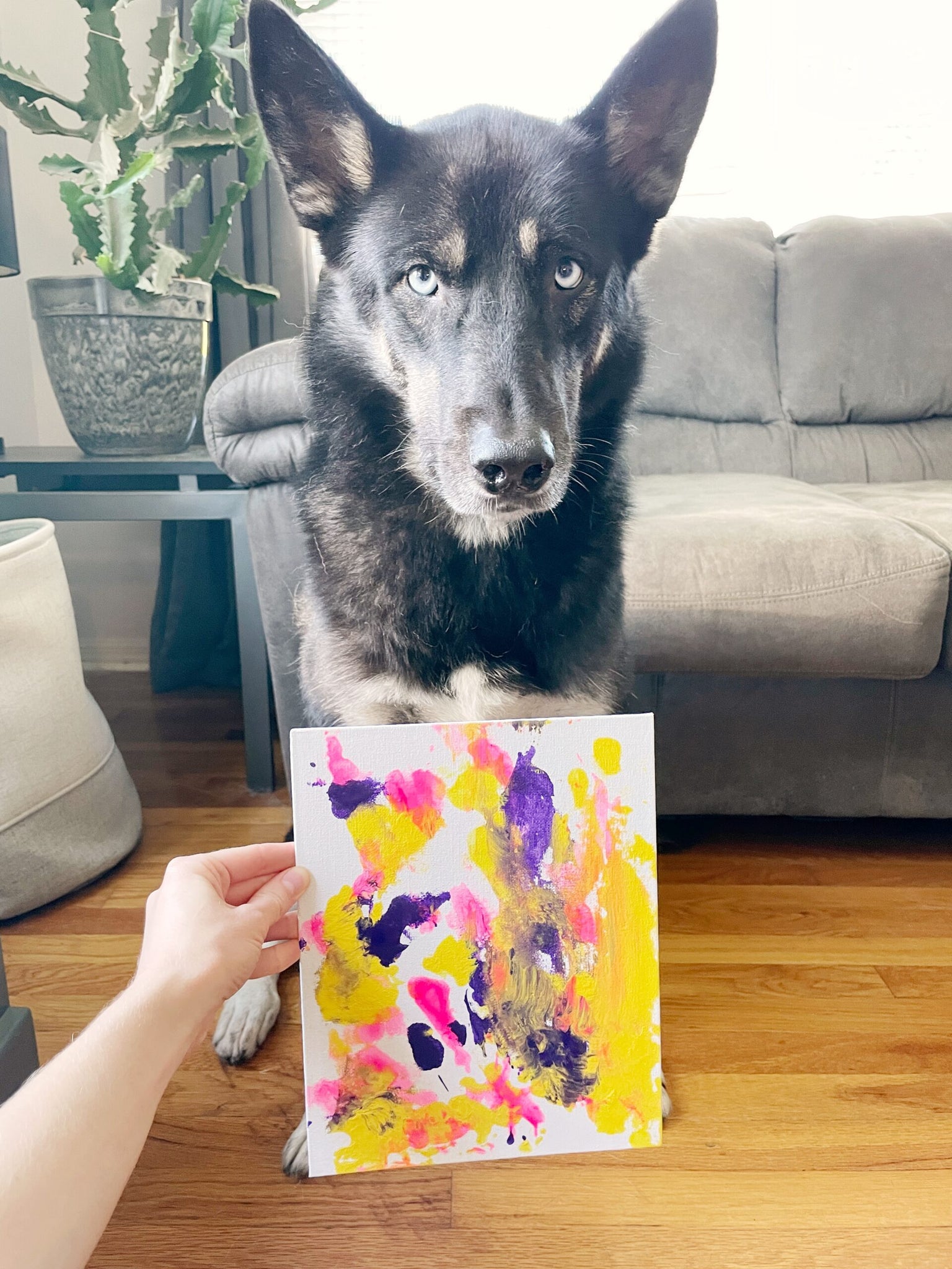 'Real life is for March': Time capsules and 30 Rock parties mark Leap ...