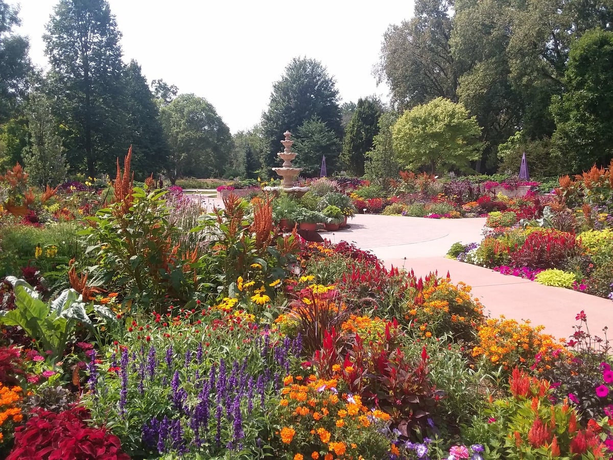 The Larry Meiller Show - WPR