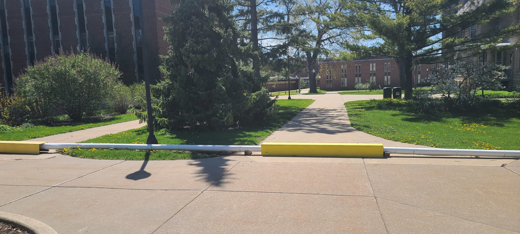 Students with disabilities at UW-Oshkosh stage walkout accusing ...