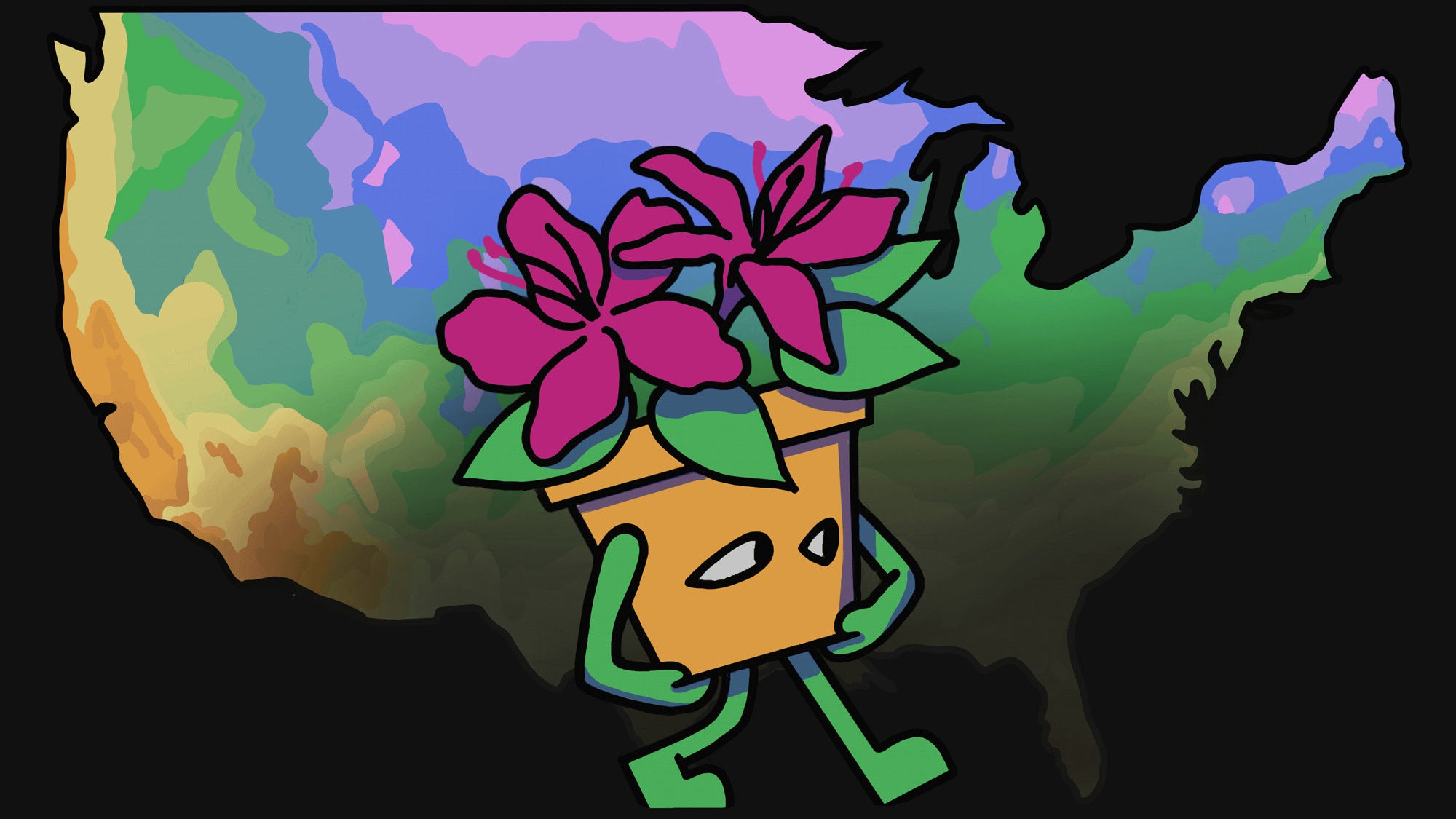 What the new plant hardiness zones mean for Wisconsin gardeners - WPR