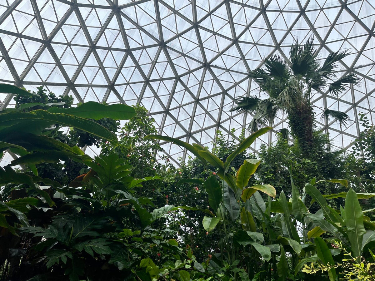 Group proposes plan to revamp Mitchell Park Domes, a Milwaukee landmark - WPR