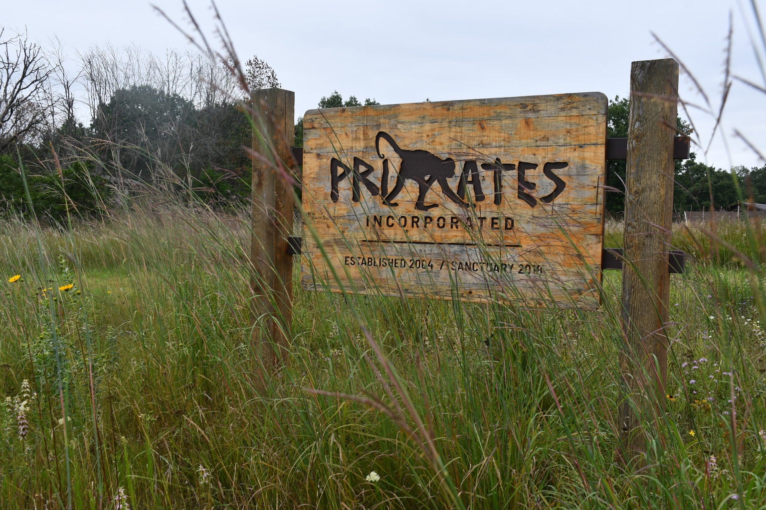 Monkey business: Wisconsin primate sanctuary running out of space - WPR