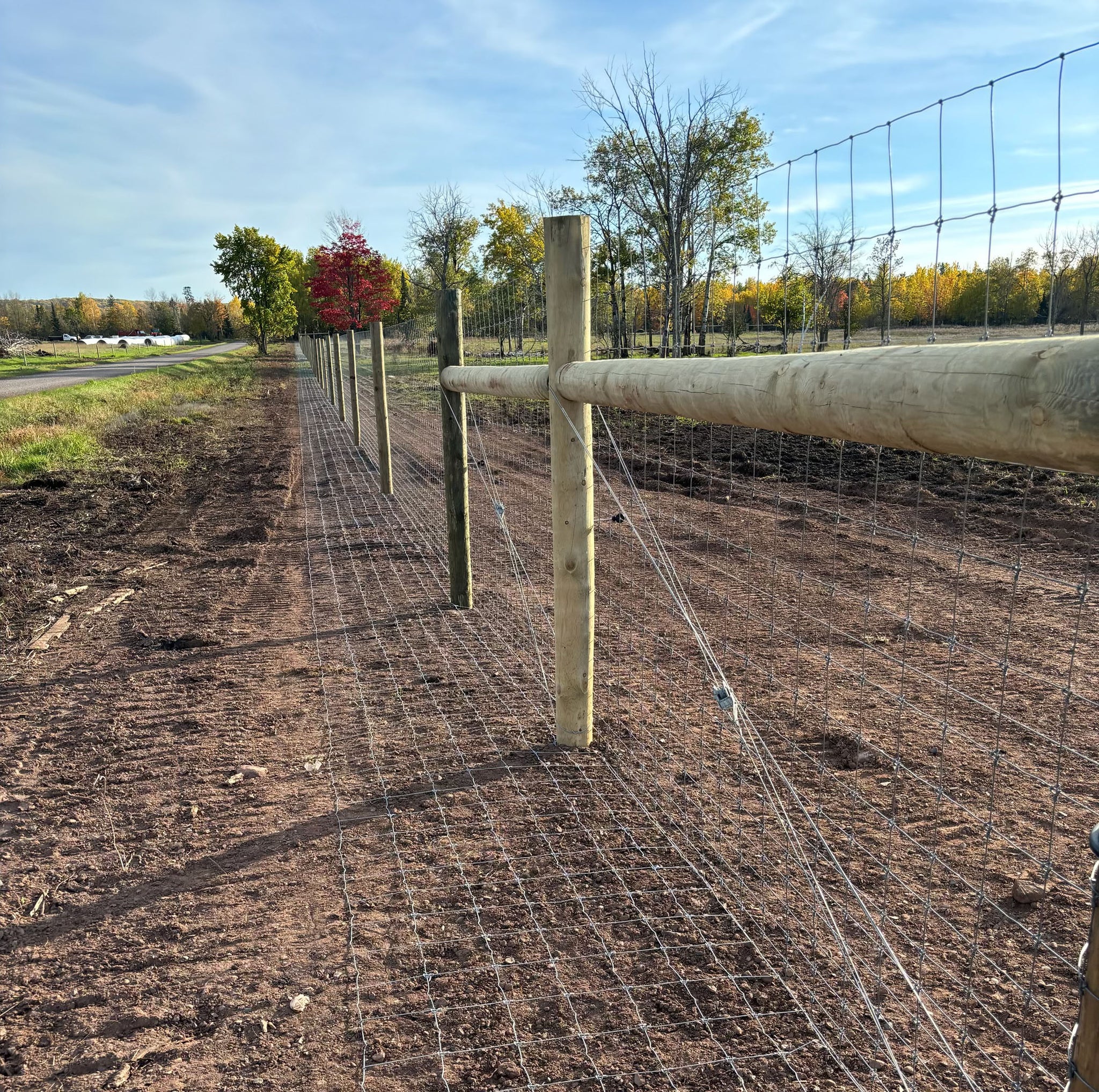 Farmers turn to 'predator-proof' fences to deter wolves in northern ...