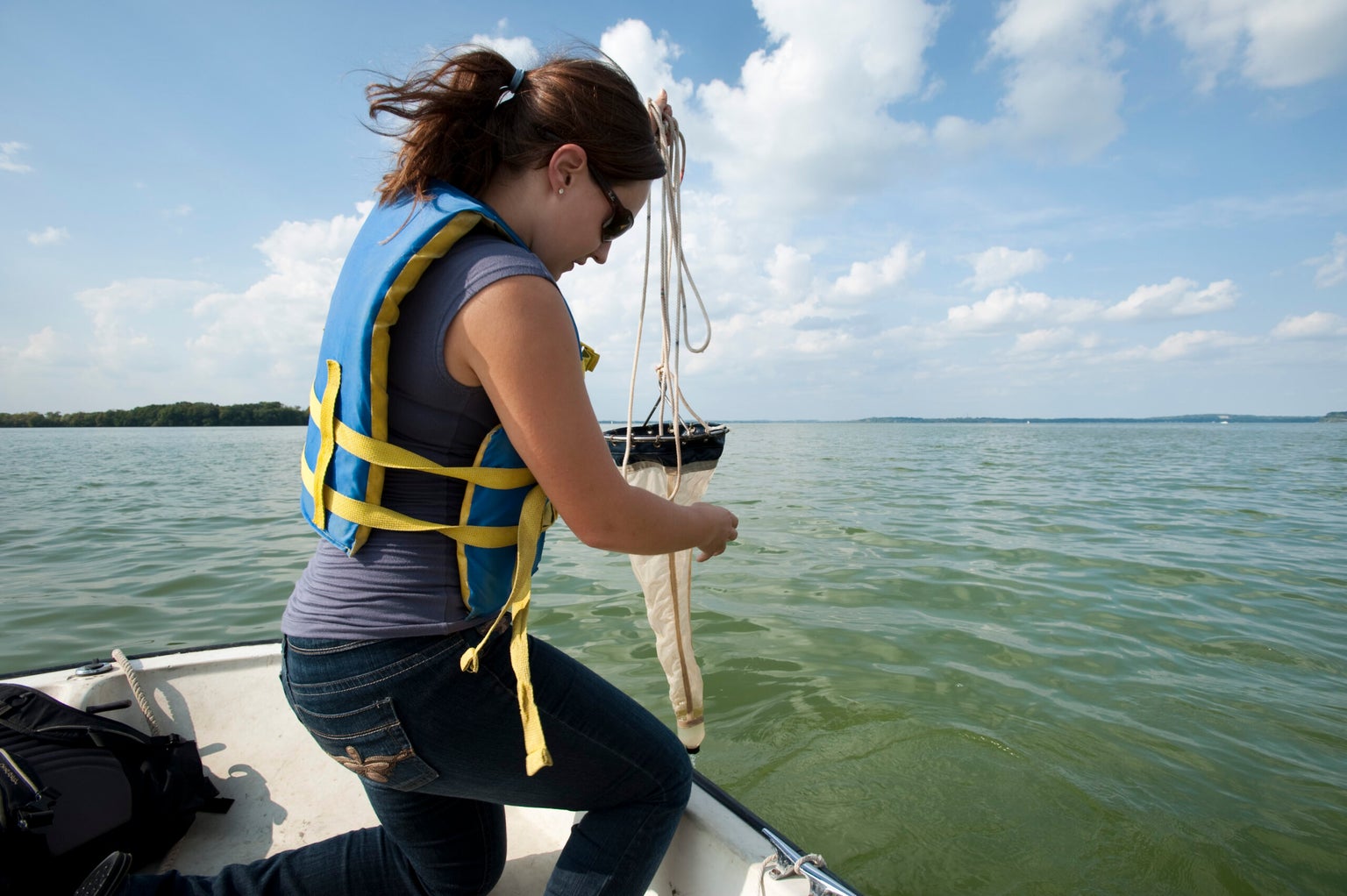 UW-Madison researchers share key takeaways about invasive species in ...