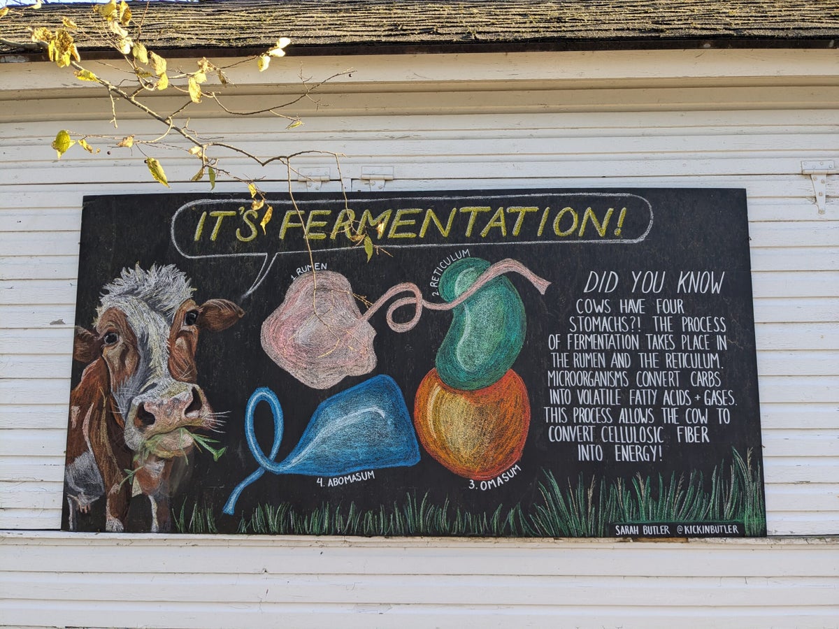 Wisconsin's Farm/Art DTour celebrates farming and the arts - WPR