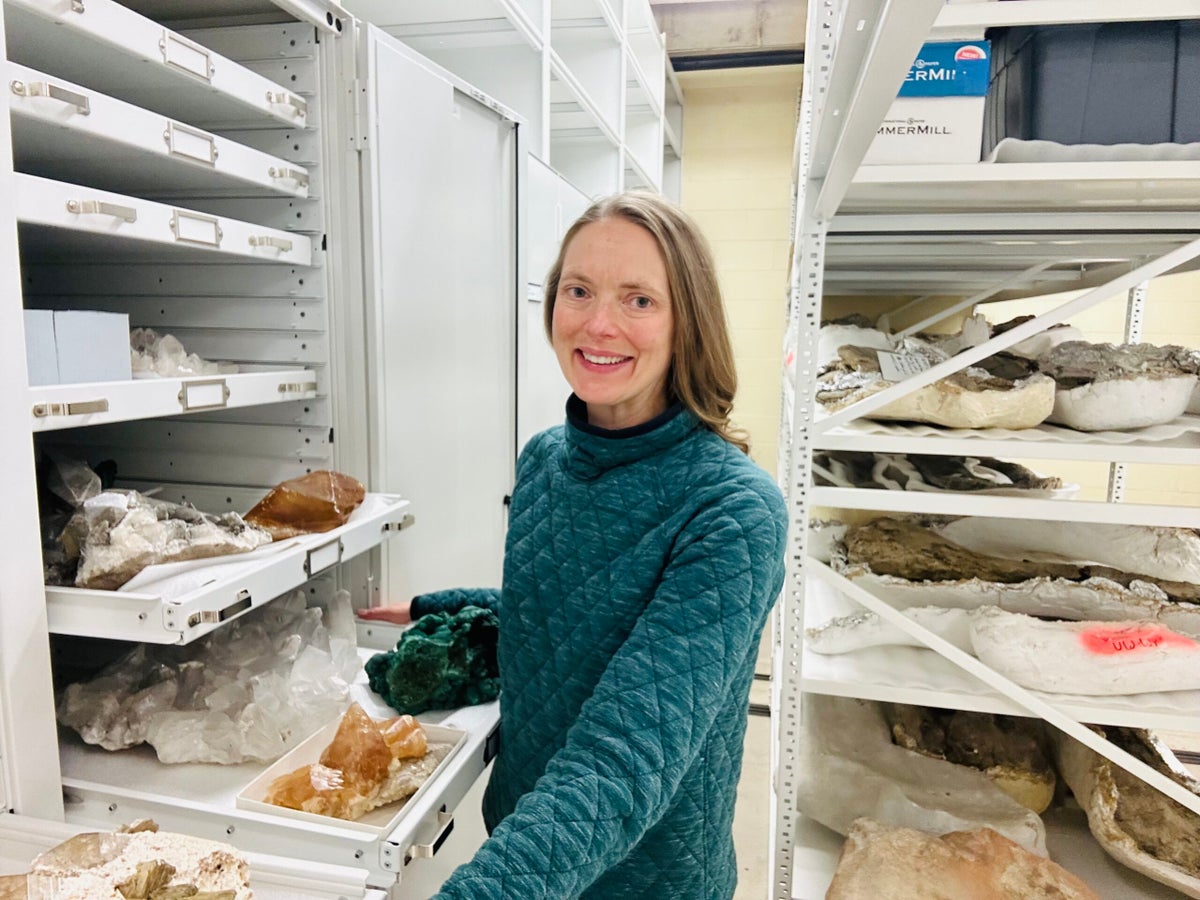 Ancient fossil named after city of Waukesha and a Wisconsin curator - WPR