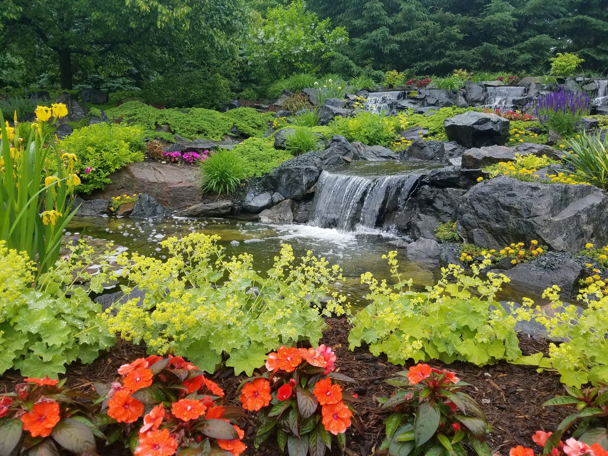 The Larry Meiller Show - WPR