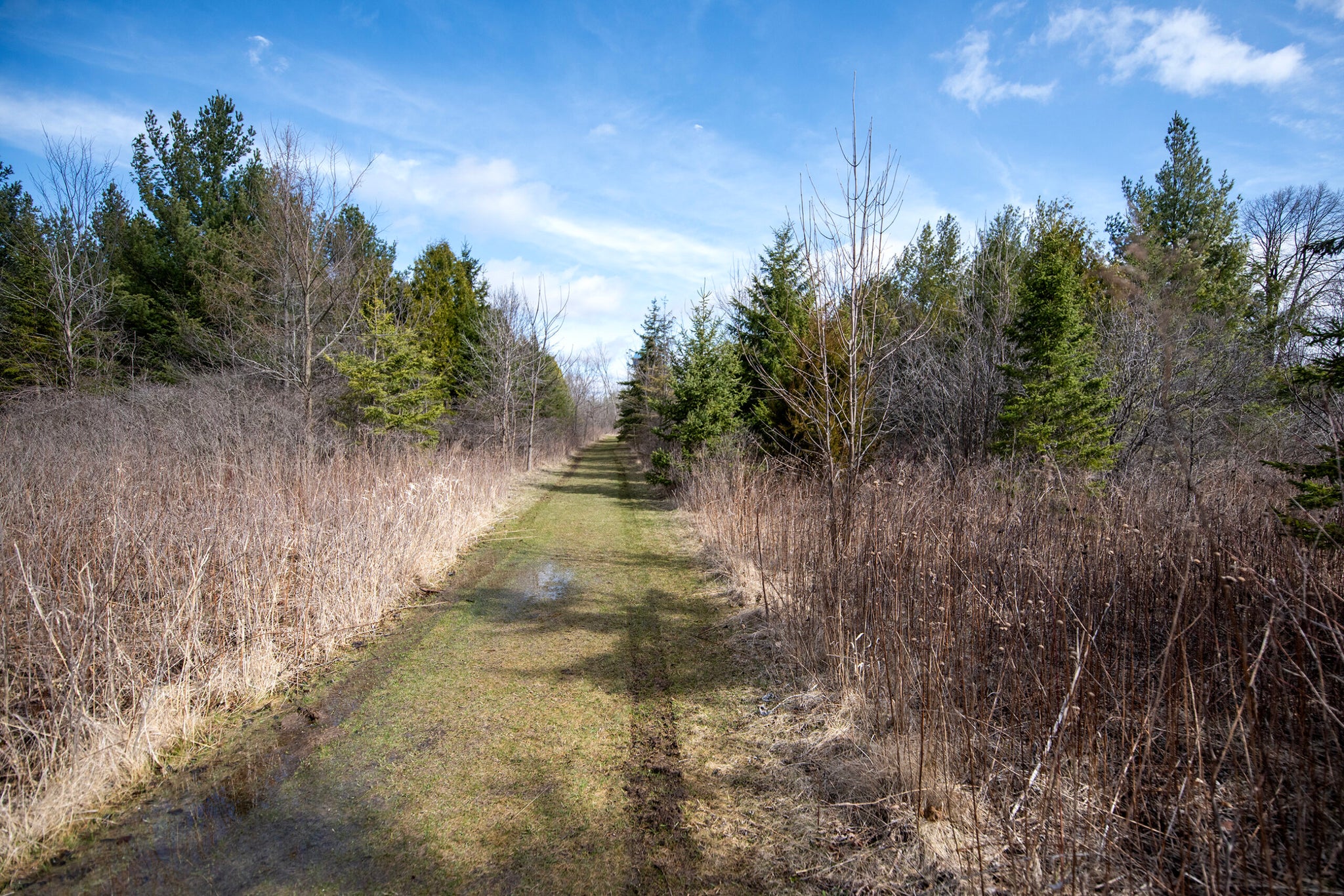 Rare, land-dwelling crayfish species spotted in Waukesha County - WPR