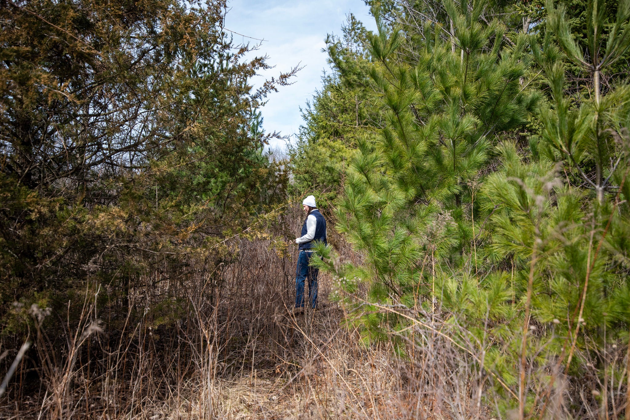 Rare, land-dwelling crayfish species spotted in Waukesha County - WPR