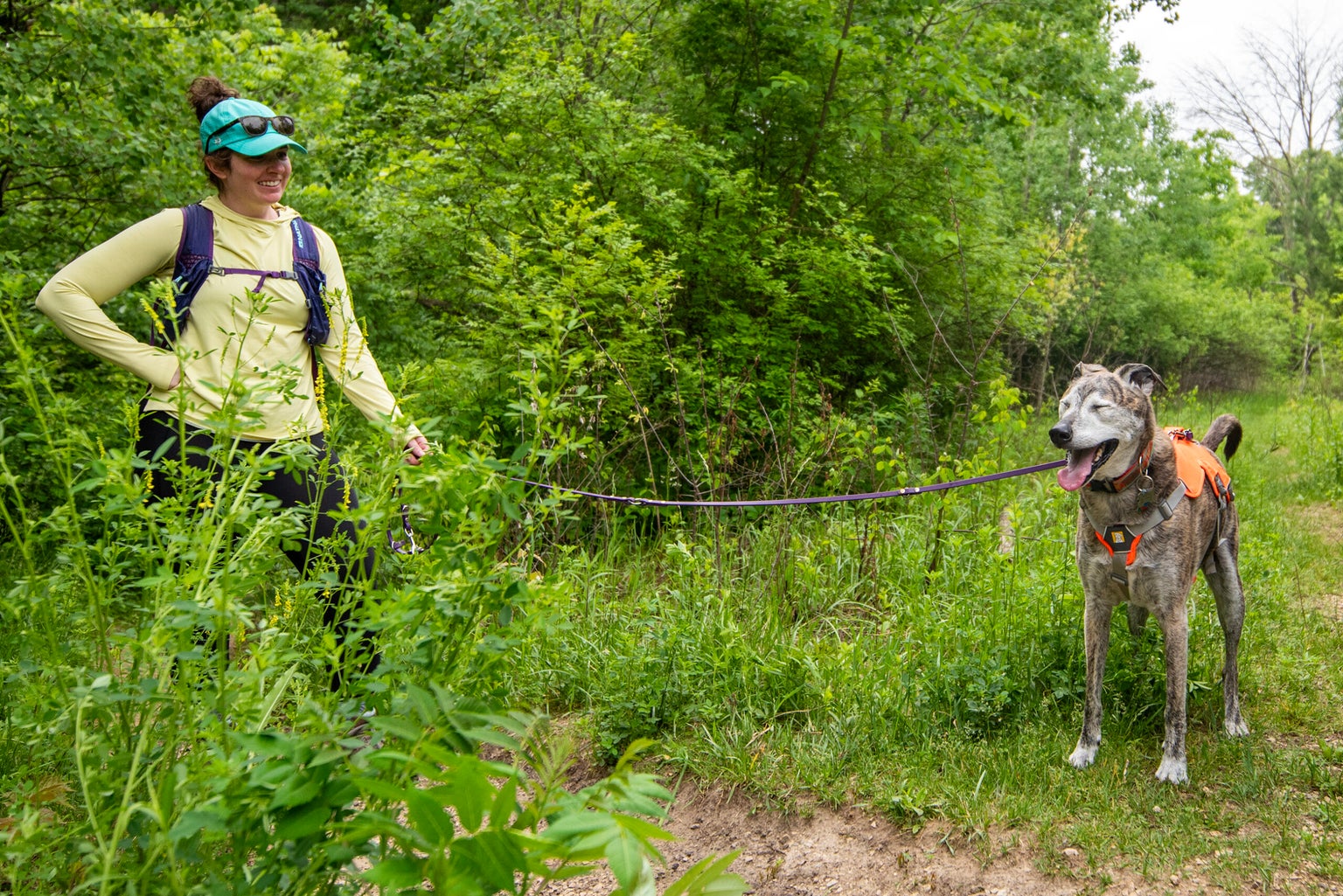 Natural Bridge State Park is a good hike for humans, dogs alike in ...