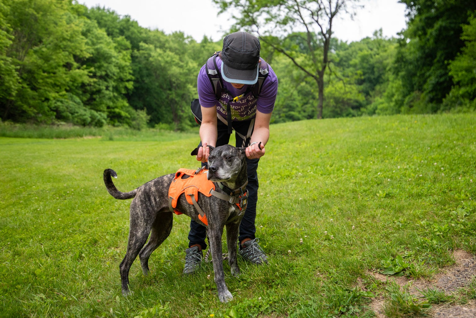 Natural Bridge State Park is a good hike for humans, dogs alike in ...