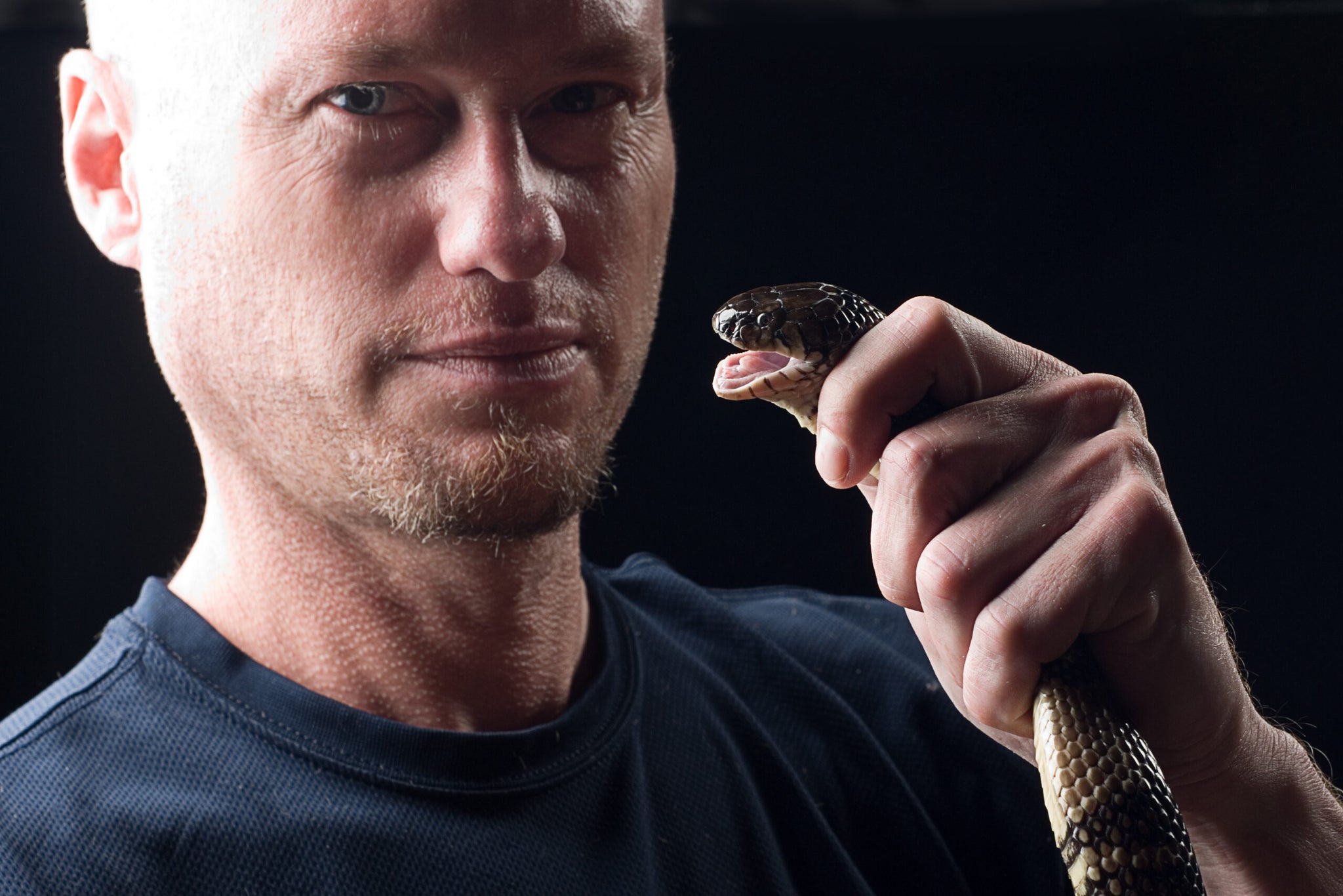 Meet the Wisconsin man who let hundreds of venomous snakes bite him - WPR
