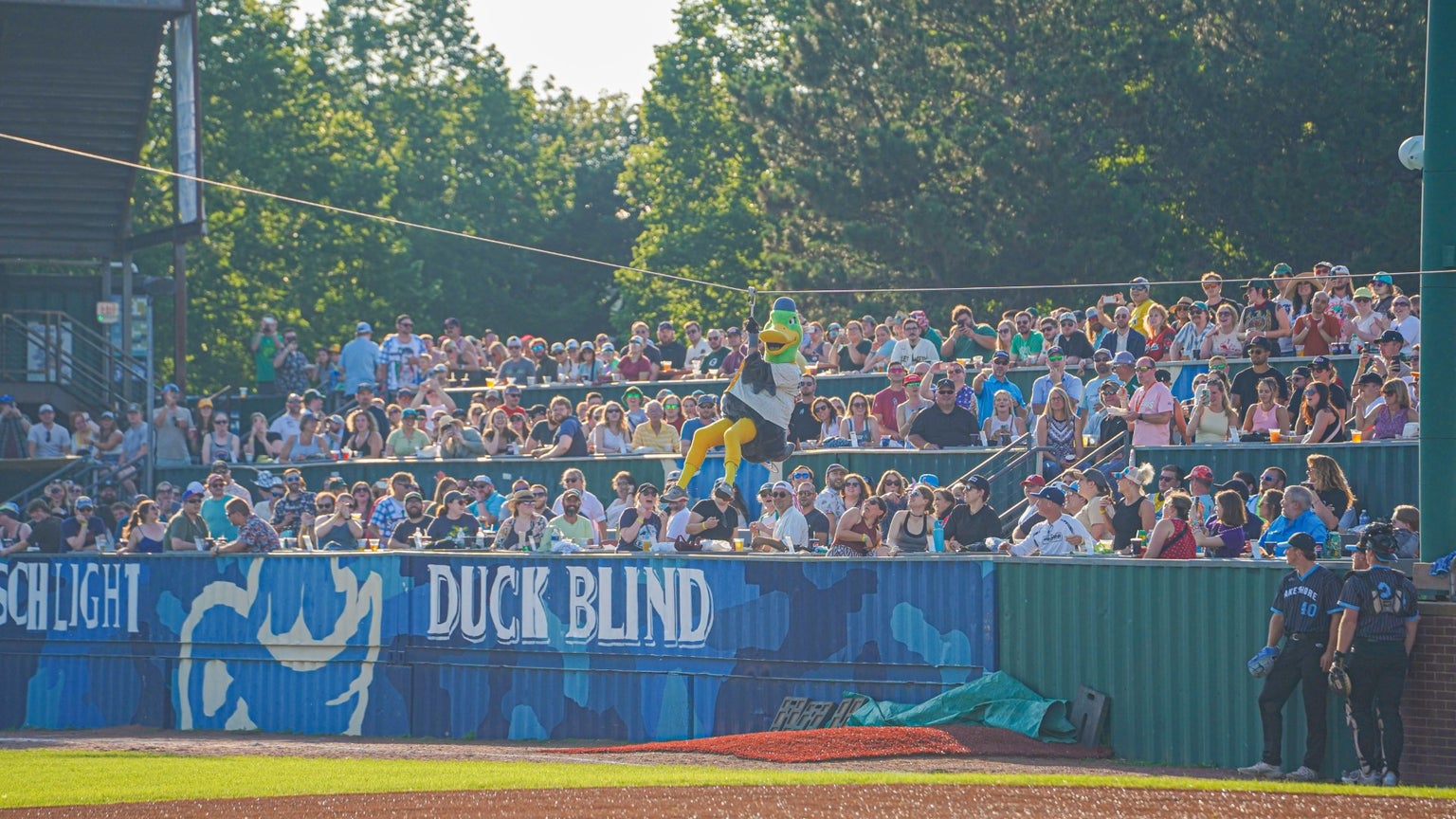 Take me out to the Duck Pond: Madison Mallards history told in ...