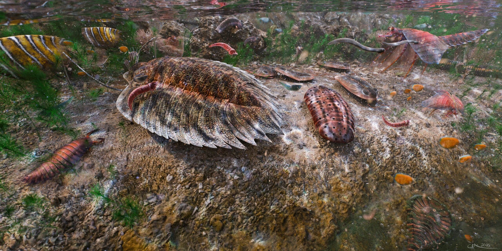 A portal into underwater, prehistoric Wisconsin found in the heart of ...